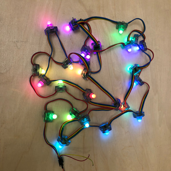 12mm Diffused Flat Digital RGB LED Pixels (Strand of 25) - Elmwood ...